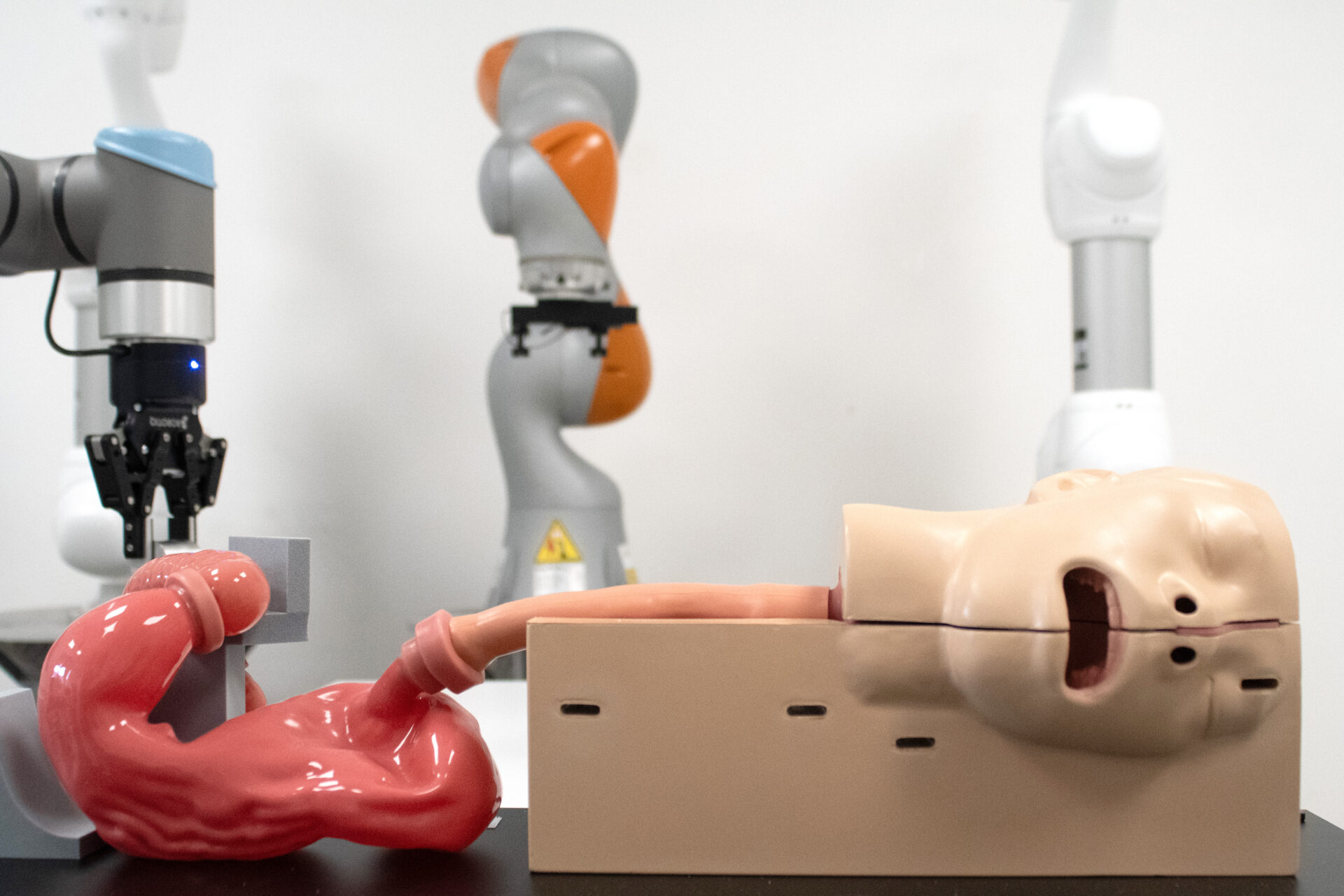 FIRPADS laboratory – Flexible Interventional Robotic Platform for ...